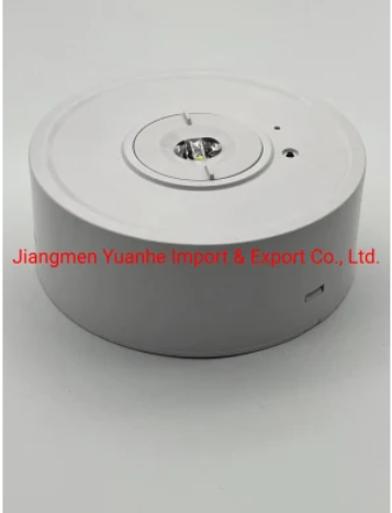 China emergency light ceiling type factory manufacturers, emergency ...
